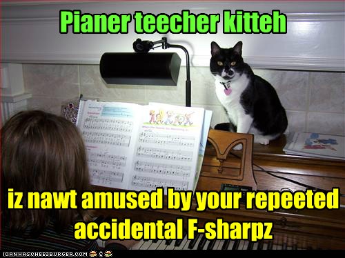 Pianer teecher kitteh will be chargin more for next week's lesson ...
