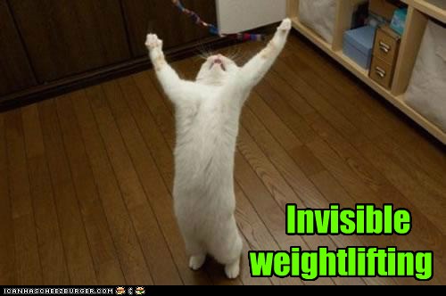 Lolcats - invisible - Page 2 - LOL at Funny Cat Memes - Funny cat ...