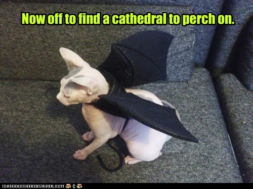 Lolcats - church - LOL at Funny Cat Memes - Funny cat pictures with ...