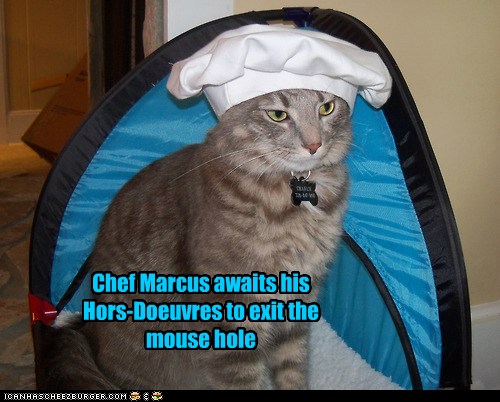 Chef Marcus awaits - Lolcats - lol | cat memes | funny cats | funny cat ...