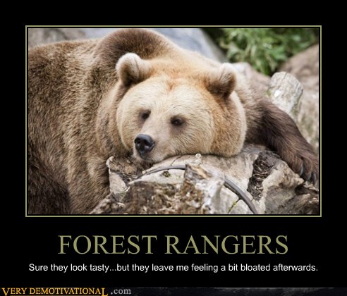 FOREST RANGERS - Very Demotivational - Demotivational Posters | Very ...
