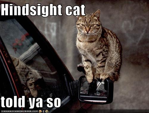 Yas Cat Meme Ya im livin The life - Pampered Cat Meme | Make a Meme