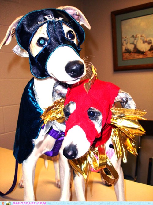 Daily Squee - squee - Cute Animals in the Cutest Pictures Ever and even ...