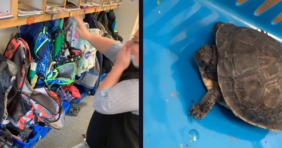 Kindergarten Teachers Get Spooked When They Hear Scratching Sounds from ...