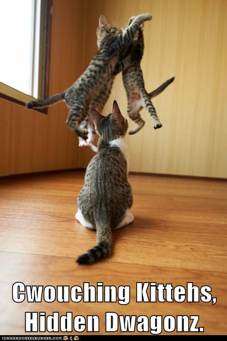 Lolcats - kung fu - LOL at Funny Cat Memes - Funny cat pictures with ...