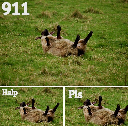 EWE NEED HALP - Memebase - Funny Memes