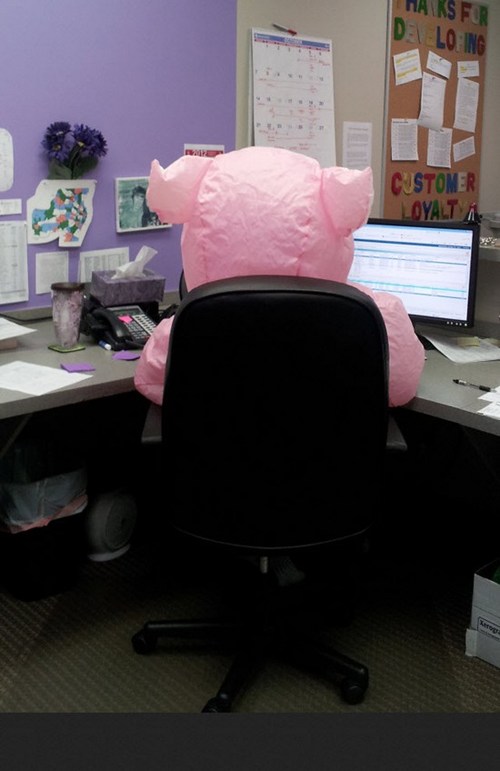 Gotta Make That Bacon! - Monday Thru Friday - job fails