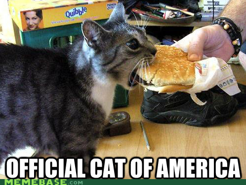 Memebase - nascar - Page 2 - All Your Memes In Our Base - Funny Memes ...