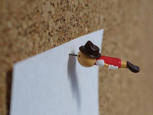 Cute Pin WIN - WIN! - epic win photos