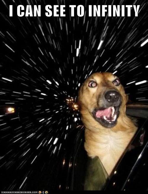 I Has A Hotdog - outer space - Funny Dog Pictures | Dog Memes | Puppy ...