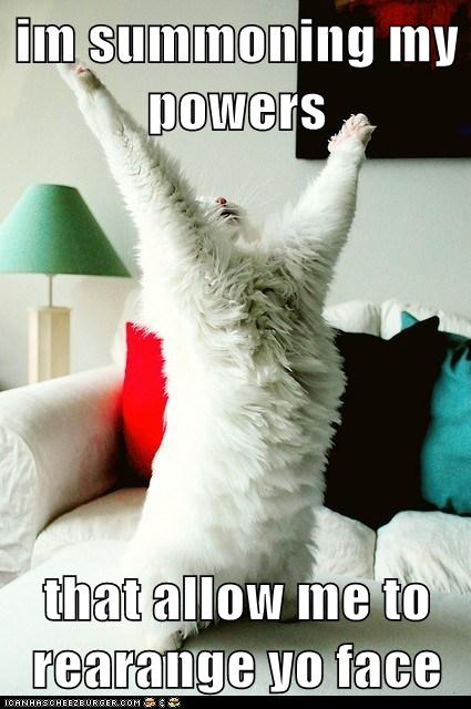 im summoning my powers - Lolcats - lol | cat memes | funny cats | funny ...
