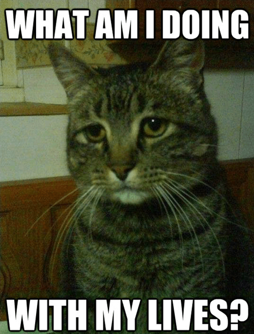Depressed Cat is Depressed - I Can Has Cheezburger?