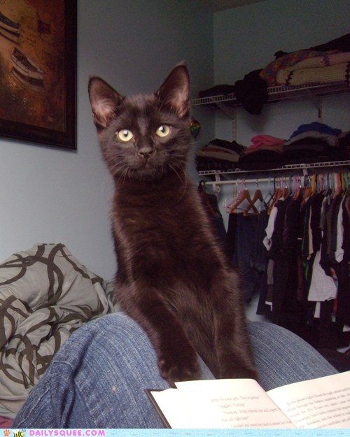 Reader Squee: Squirrel? - Daily Squee - Cute Animals - Cute Baby ...