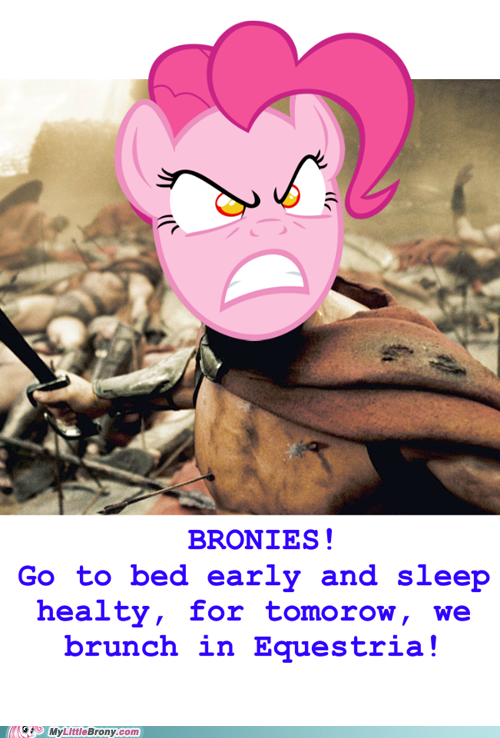 Bronies! What is Your Profession? - My Little Brony - my little pony ...