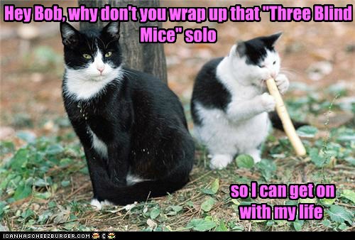 Hey Bob, why don't you wrap up that "Three Blind Mice" solo - Lolcats ...