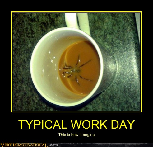 Memebase - spider - Page 5 - All Your Memes In Our Base - Funny Memes ...