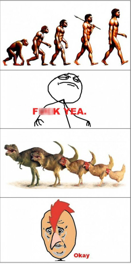 FAIL Blog - chickens - Page 2 - Epic FAILs funny videos - Funny Fails ...