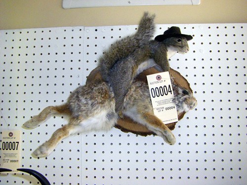 Memebase - taxidermy - Page 2 - All Your Memes In Our Base - Funny ...