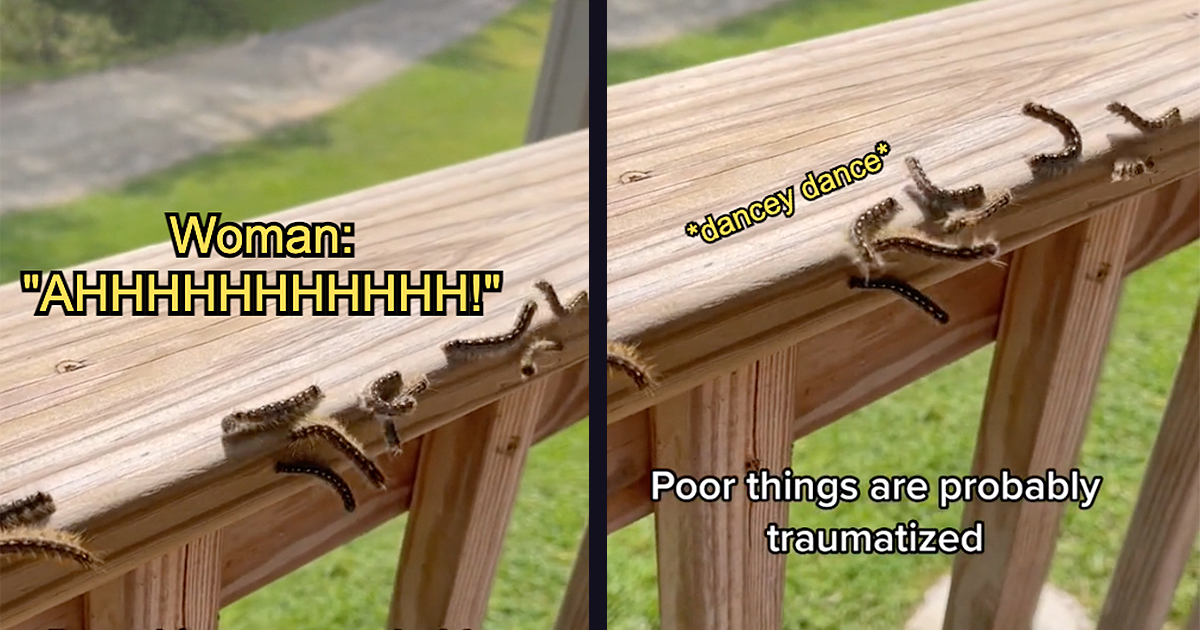 Memebase - dancing-worms - All Your Memes In Our Base - Funny Memes ...