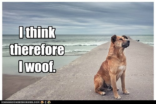 I Has A Hotdog - philosophy - Funny Dog Pictures | Dog Memes | Puppy ...