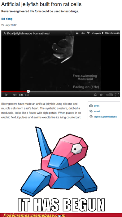 Pokémemes - porygon - Pokemon Memes - Pokémon, Pokémon GO - Cheezburger