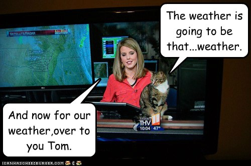 The weather is going to be that...weather. - Lolcats - lol | cat memes ...