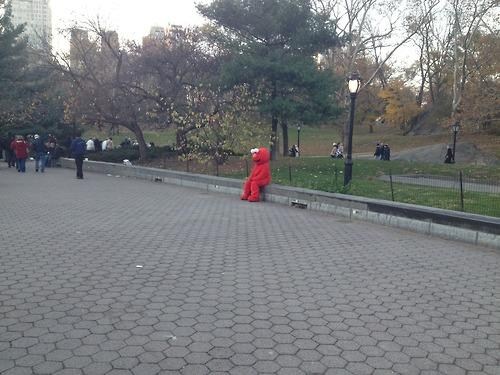 Sad Elmo Picture Is Unrelated Funny Picture Funny Video Wtf Wtf Pics