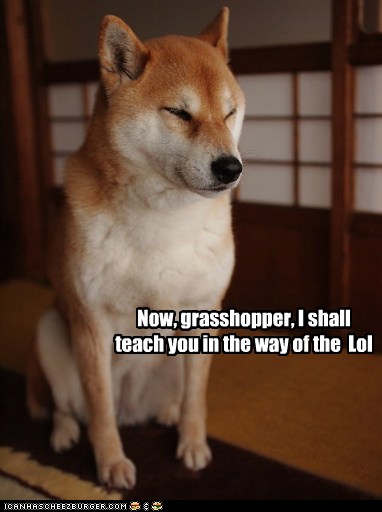 I Has A Hotdog - teacher - Funny Dog Pictures | Dog Memes | Puppy ...