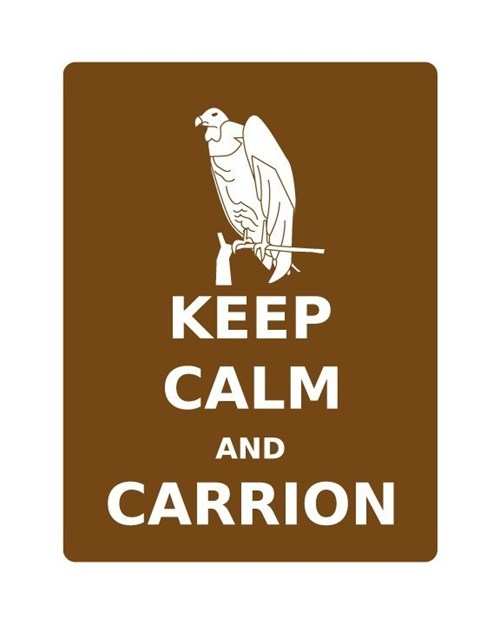 Puns - carry on - Funny Puns - Pun Pictures - Cheezburger