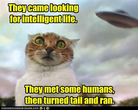 Lolcats - intelligent - LOL at Funny Cat Memes - Funny cat pictures ...