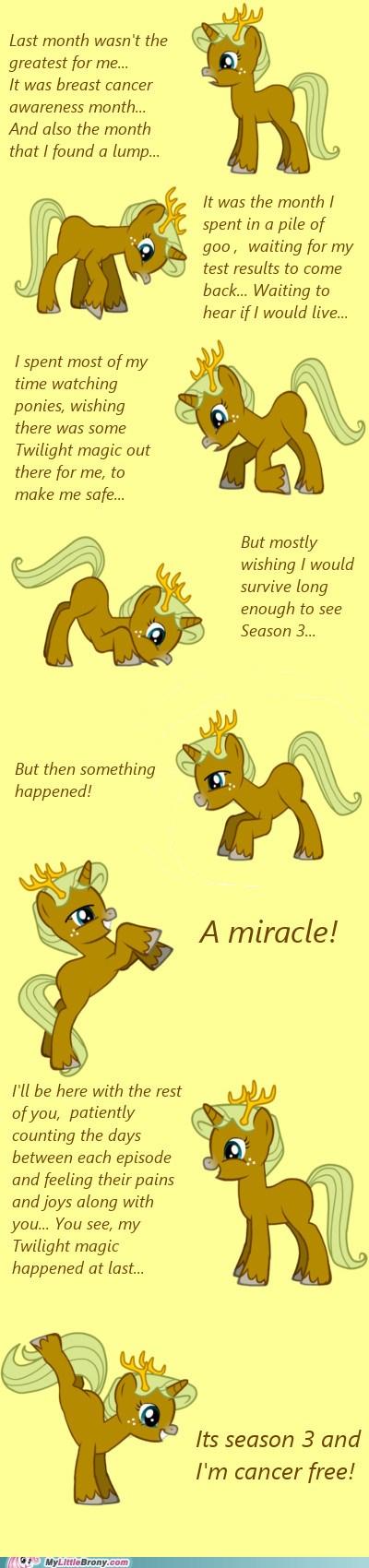 Pony Tale - My Little Brony - my little pony, friendship is magic ...