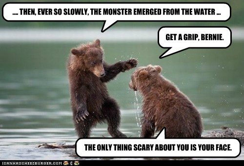 Everyone's a Critic - Animal Comedy - Animal Comedy, funny animals ...