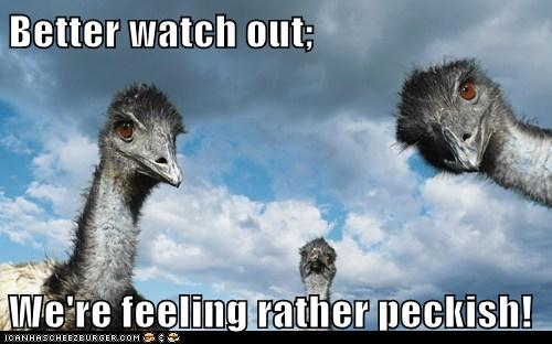 In More Ways than One - Animal Comedy - Animal Comedy, funny animals ...