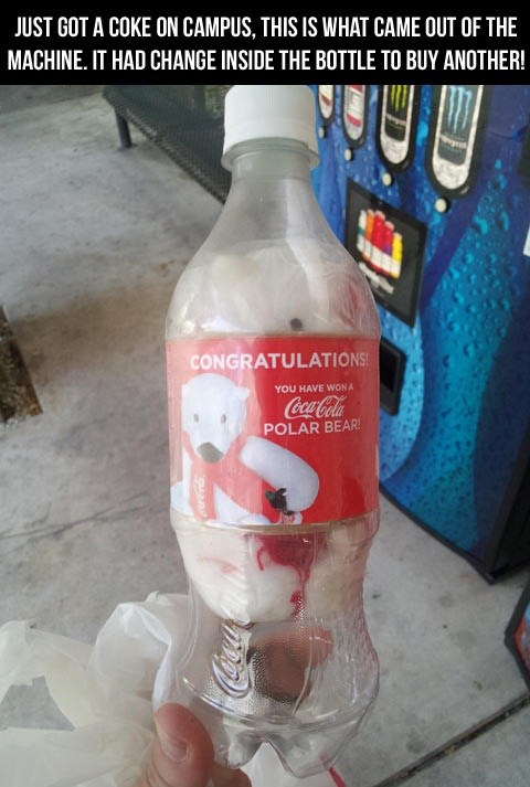 Free Stuff WIN - WIN! - epic win photos