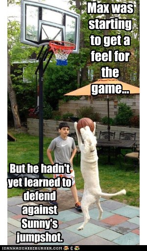 It's a tough game... - I Has A Hotdog - Dog Pictures - Funny pictures ...