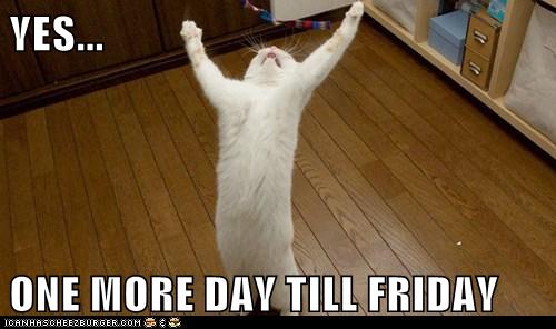 YES... ONE MORE DAY TILL FRIDAY - Cheezburger - Funny Memes | Funny ...