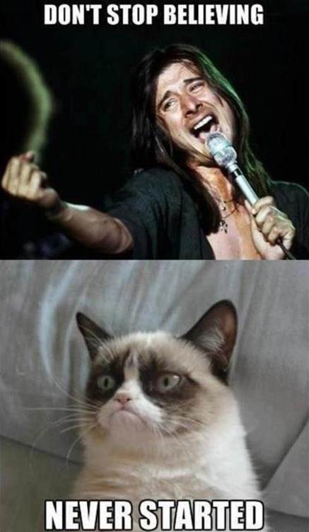 The Wheel in the Sky Keeps on Turning, And Grumpy Cat is Still Grumpy ...