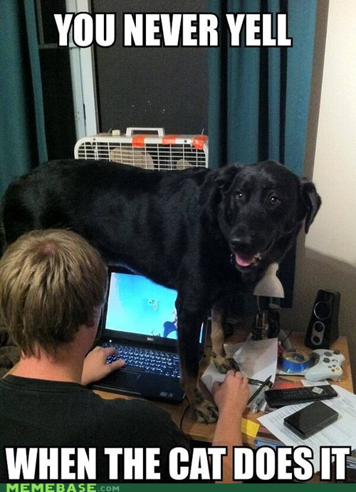 Do I Need to Step on the Keyboard? - Memebase - Funny Memes