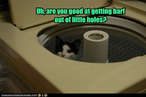 Well if not you're gonna be. - Lolcats - lol | cat memes | funny cats ...