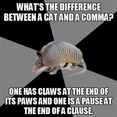 Puns - comma - Funny Puns - Pun Pictures - Cheezburger