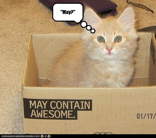 Is there any doubt? - Lolcats - lol | cat memes | funny cats | funny ...