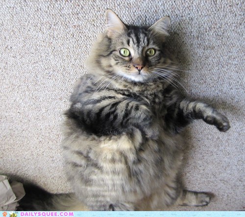 Reader Squee: Max - Daily Squee - Cute Animals - Cute Baby Animals ...