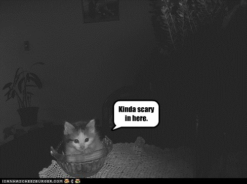 Kinda scary in here. - Lolcats - lol | cat memes | funny cats | funny ...