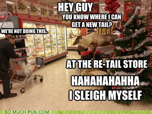 Puns - tail - Funny Puns - Pun Pictures - Cheezburger