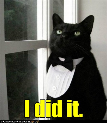 Lolcats - detective - LOL at Funny Cat Memes - Funny cat pictures with ...