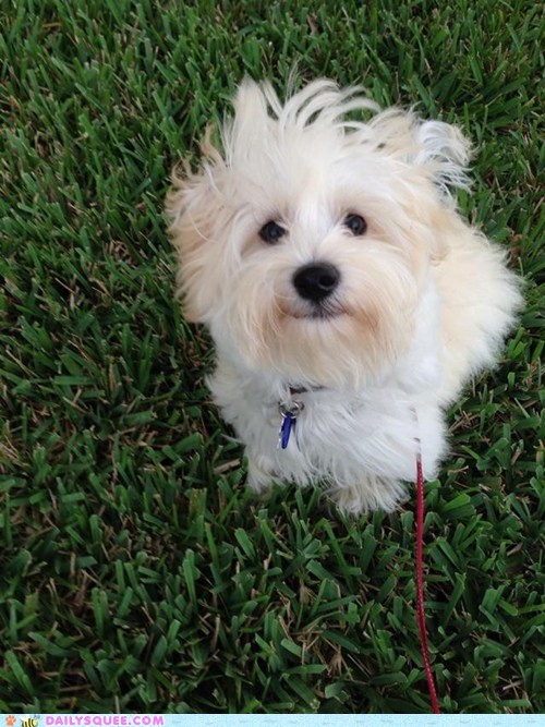 Reader Squee: Windy Day - Daily Squee - Cute Animals - Cute Baby ...