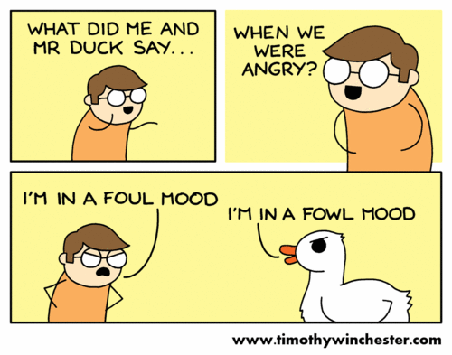 Puns - fowl - Funny Puns - Pun Pictures - Cheezburger