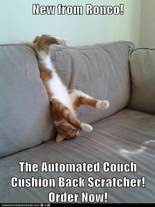 Lolcats - scratch - Page 2 - LOL at Funny Cat Memes - Funny cat ...