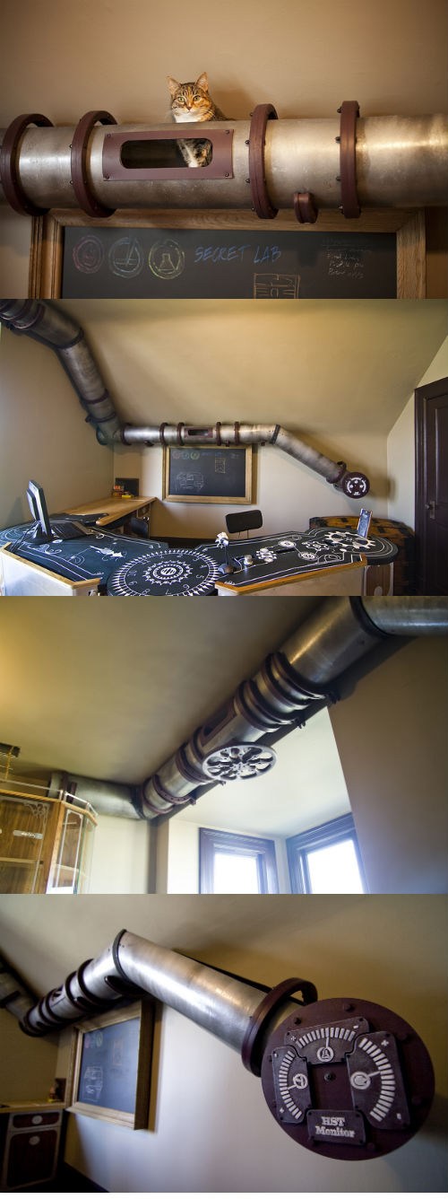 Cat Transit System: The Finest in Cat Recreation - I Can Has Cheezburger?