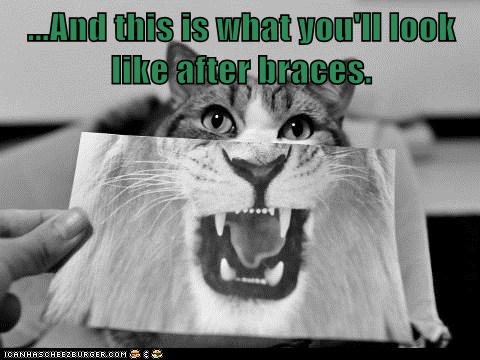...And this is what you'll look like after braces. - Lolcats - lol ...
